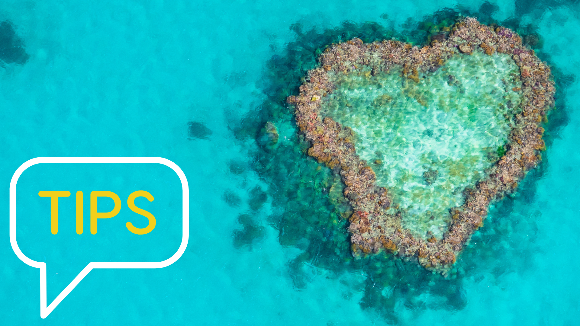 Living in Australia, hints and tips from one expat to another
