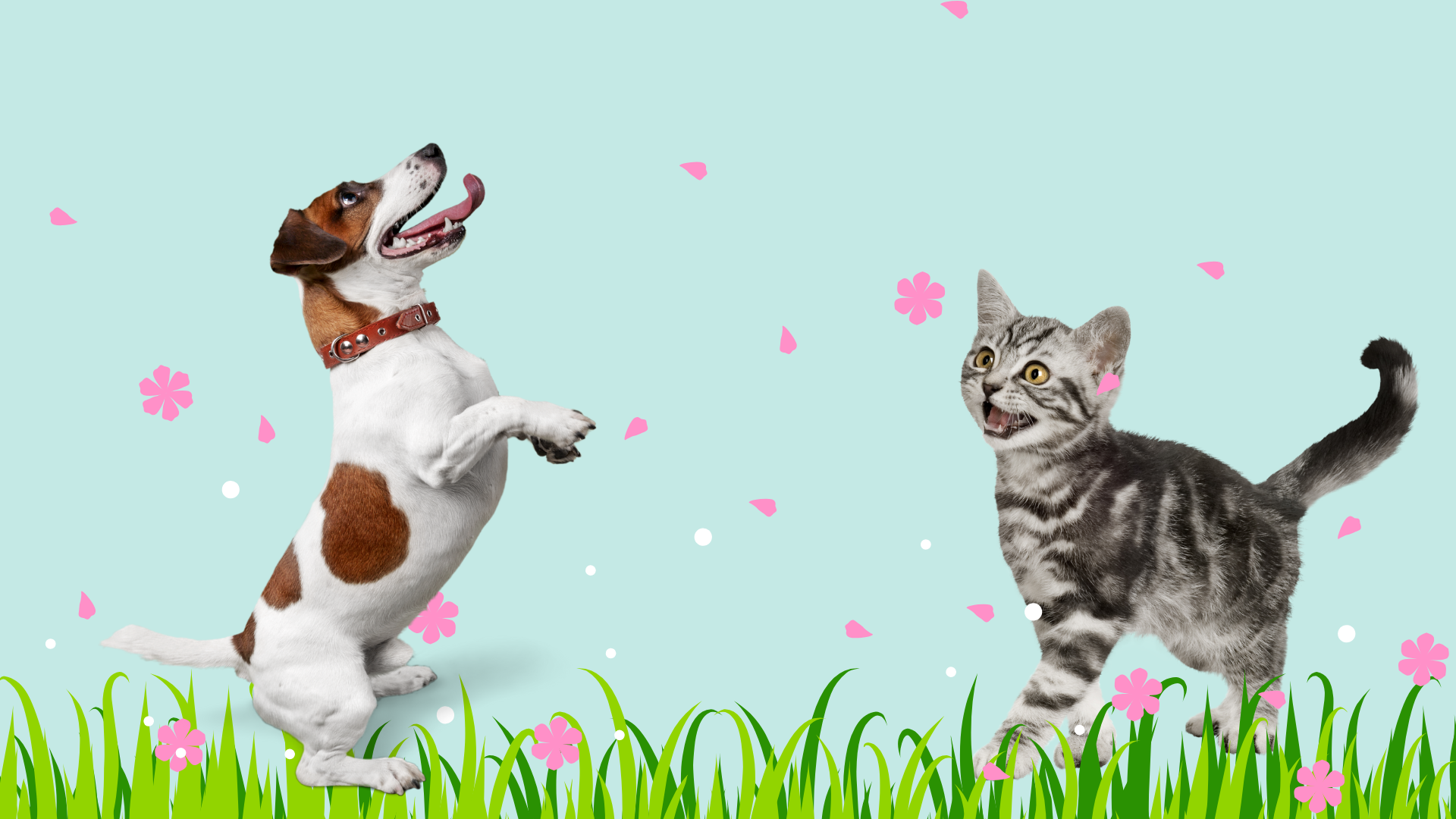 Springtime with Pets - Menlo Park Recruitment