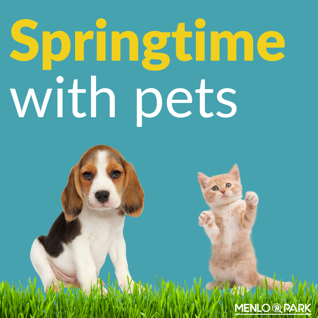 Springtime with Pets - Menlo Park Recruitment