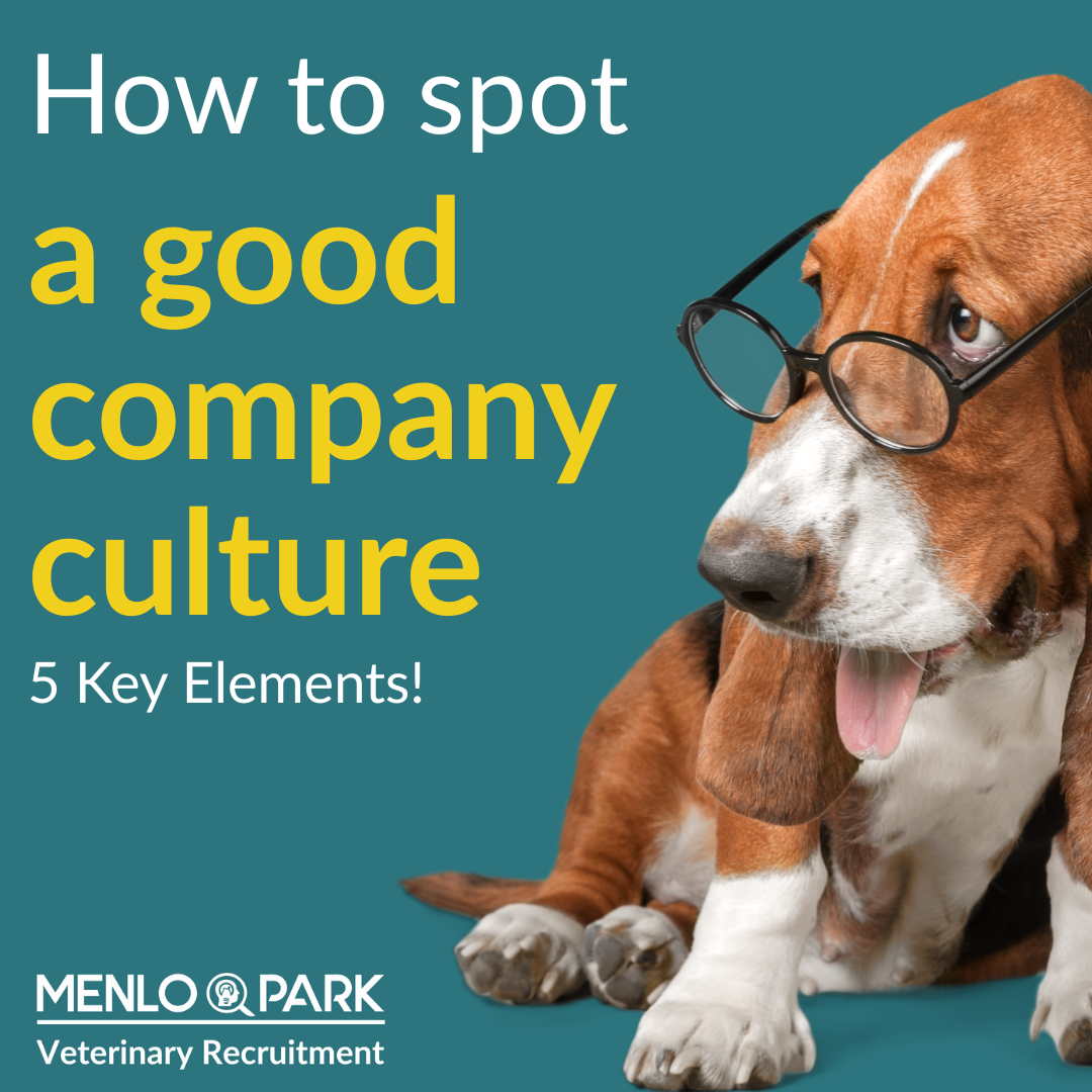 5 Key Elements of a good company culture - Menlo Park Recruitment